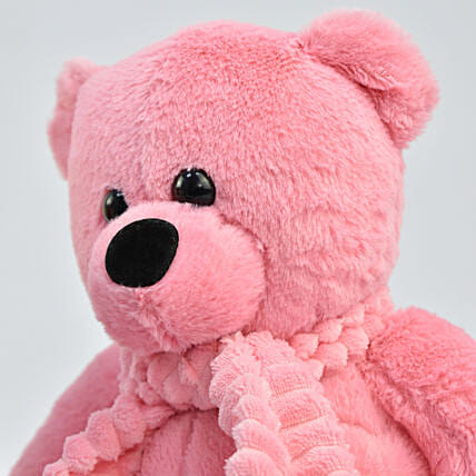 Online Roses with Soft Toy Gift Delivery in UAE - FNP